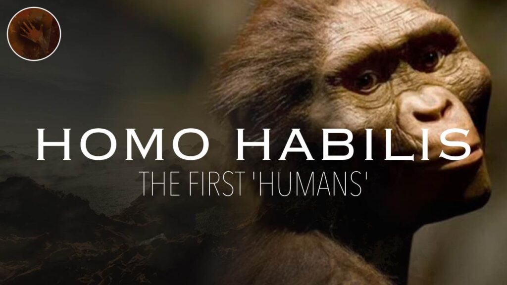 Homo habilis: el arte de ser humano en un mundo primitivo - Noticias en ...