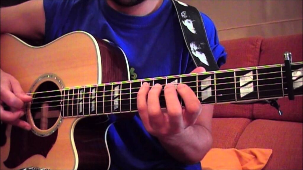 El secreto de las tortugas acordes: ¿un canto a la tranquilidad o un ...