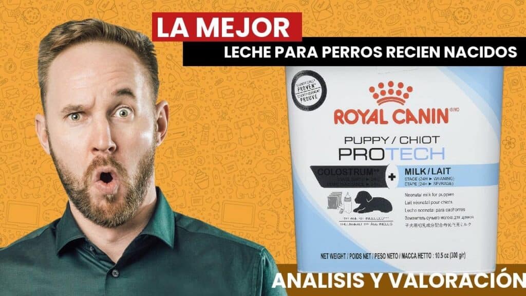 ¿Leche para perro recién nacido? ¡Descubre el secreto de la crianza ...