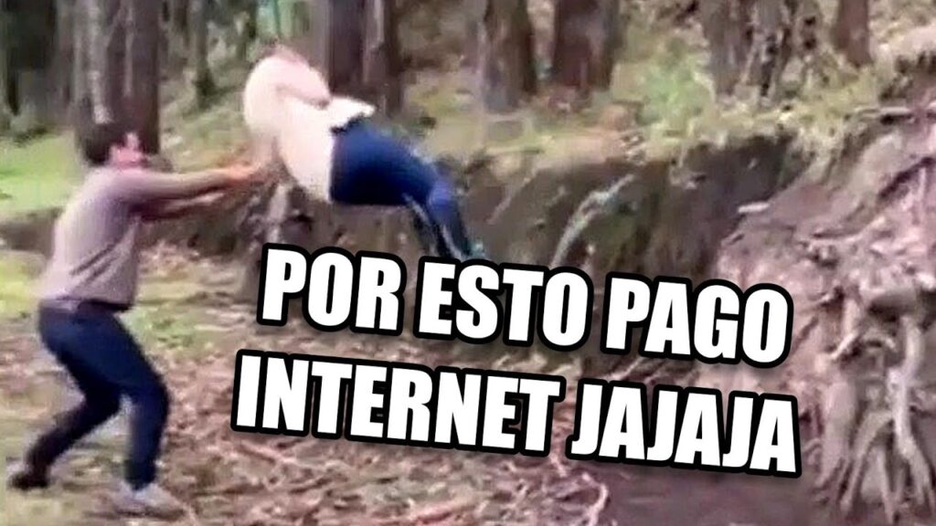 “Los mejores memes que te harán reír hasta que te duela el botón de ‘me ...